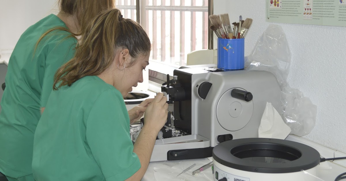 Histolabet: Corte al microtomo, montaje de muestras y control de ...