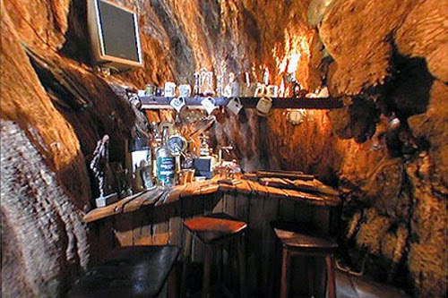 WeirdWood: Ancient South African Baobab Tree with Bar Inside