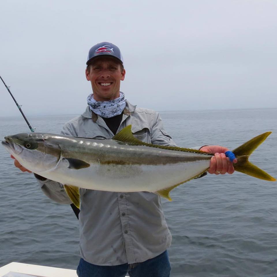 California Fishing Blog: How to Catch Yellowtail in California