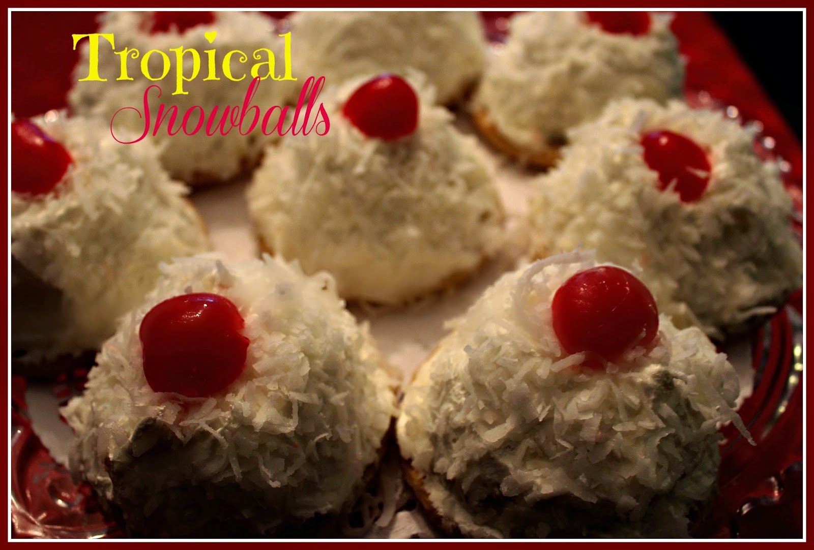 Sweet Tea and Cornbread: Tropical Snowballs!