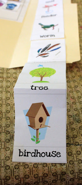 La-La's Home Daycare: Spring Theme | Bird Unit