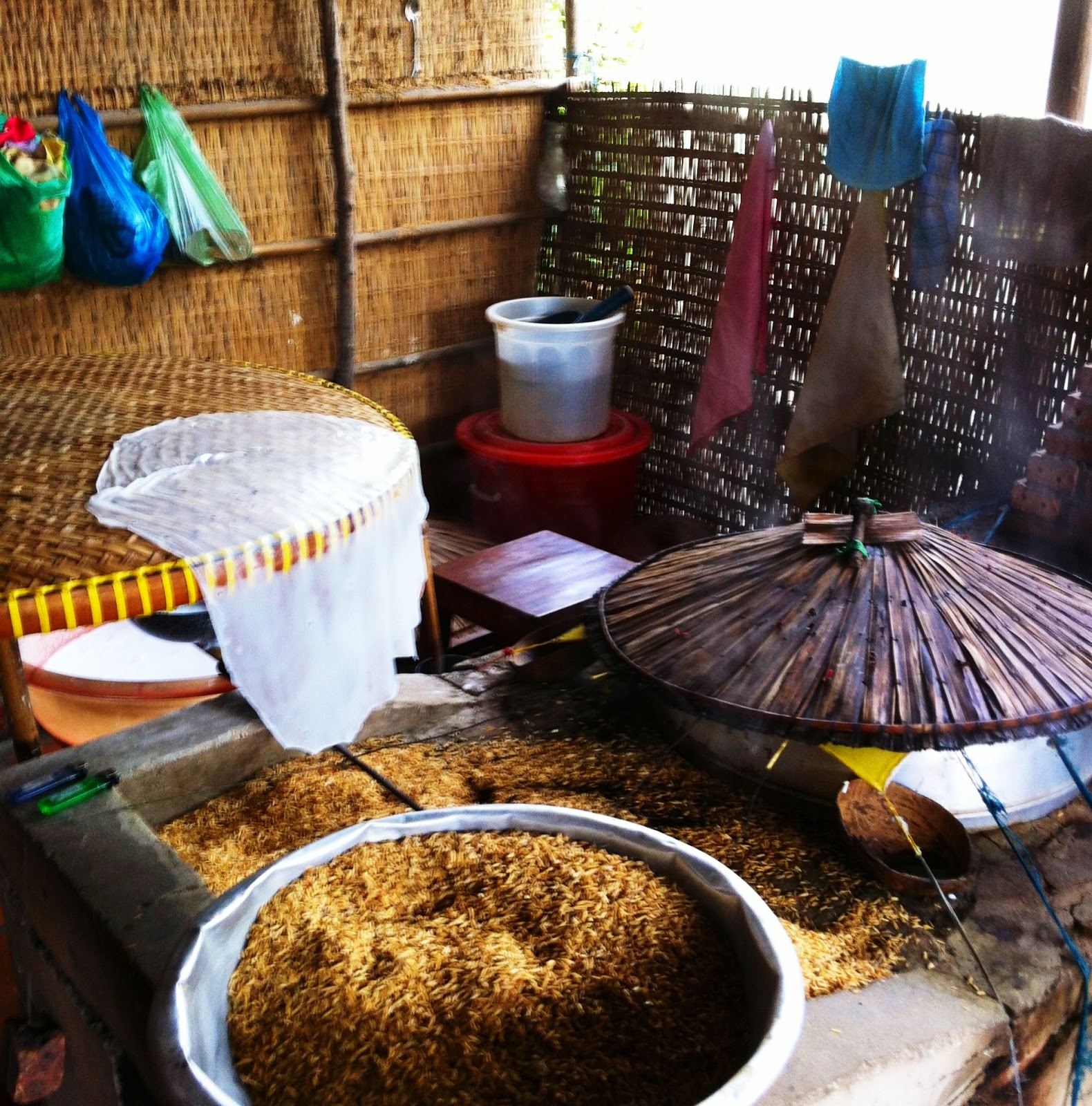 Travel Sabbatical: Mekong Delta, The "Rice Bowl" of the World