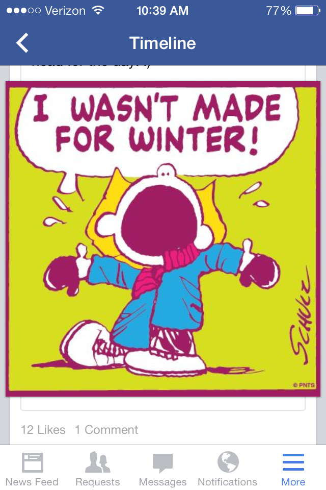 Peace of Mind: I HATE WINTER
