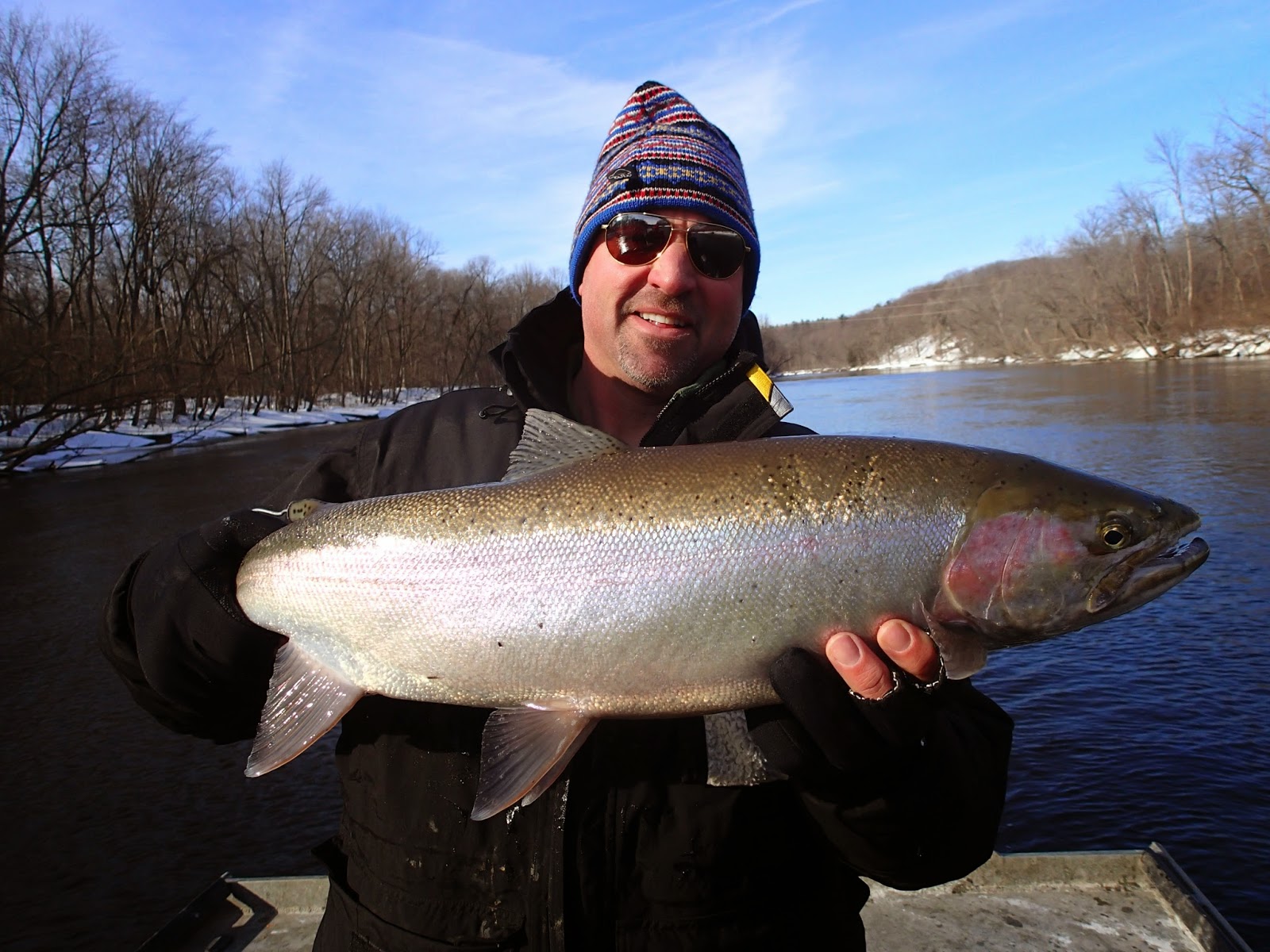 Muskegon River Guide.com: Muskegon River Steelhead