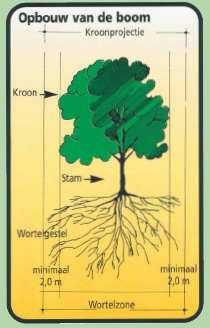 Groen en welzijn: Hoe om te gaan met bomen op de bouwplaats?