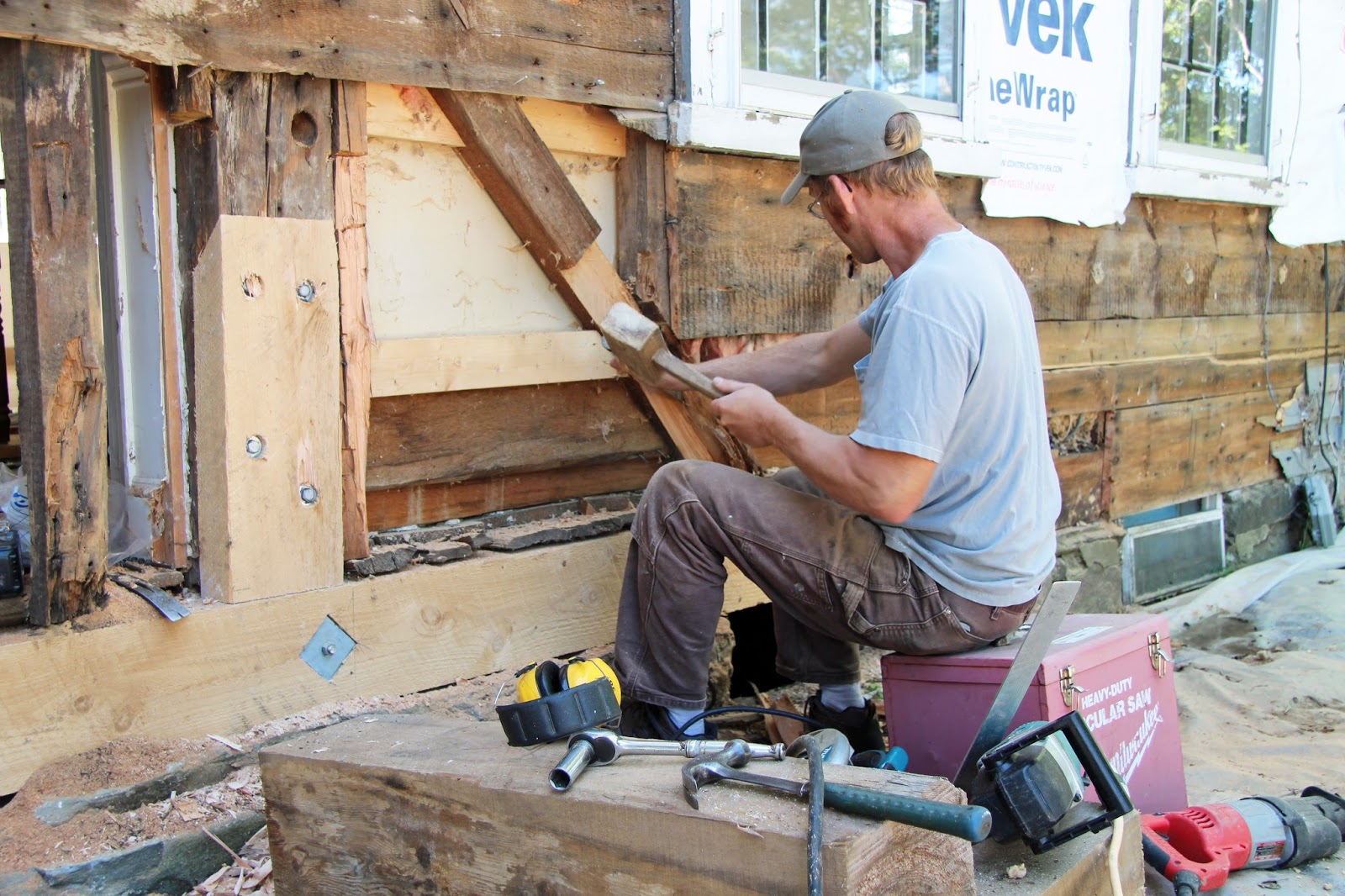 In the Fields : Sills