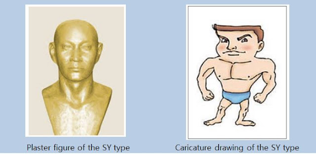 Sasang Constitutional Medicine, Korea's Renowned Body Type Typology for ...