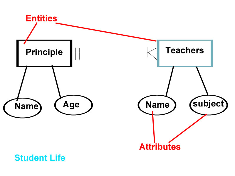 Entity, Attributes and Relationship ~ Sum Of Knowledge