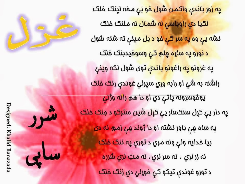 All Pashto Showbiz: Pashto Poetry Wallpapers
