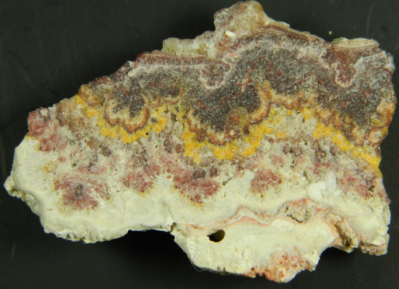 CSMS GEOLOGY POST: COLLECTING STRIPED ROCKS IN UTAH