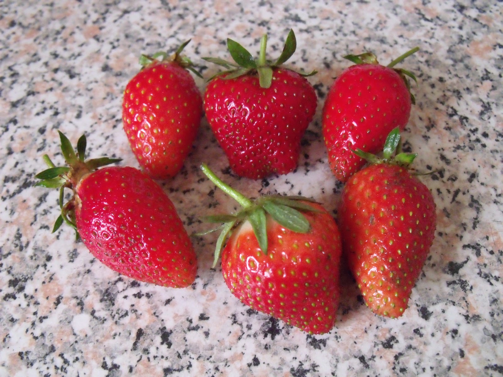 Le blog de Caro: Les premières fraises