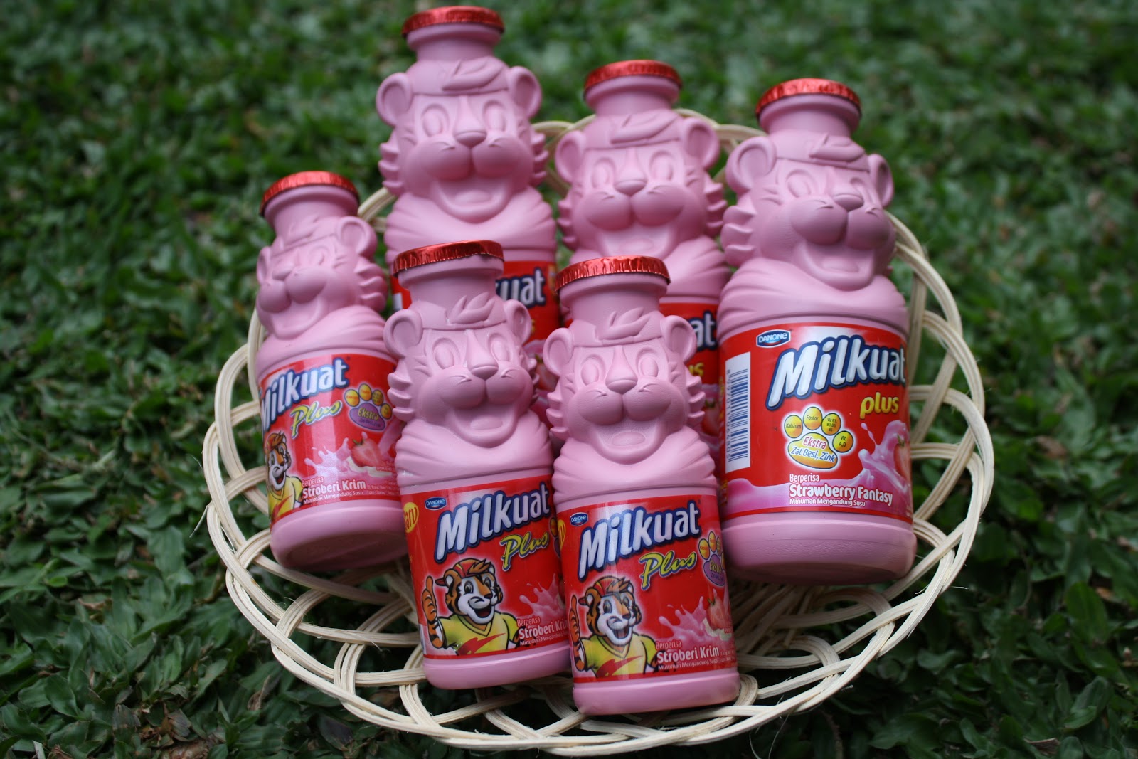 Meraih Bintang Bersama Milkuat Botol Tiger