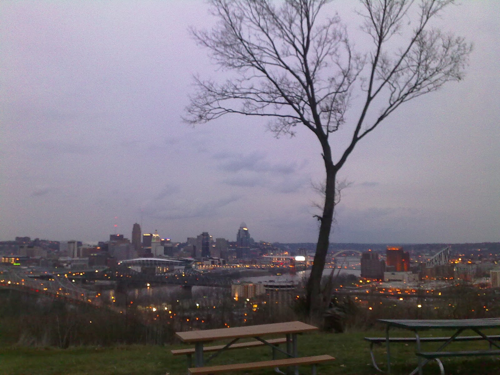 Cincinnati view from Devou Park