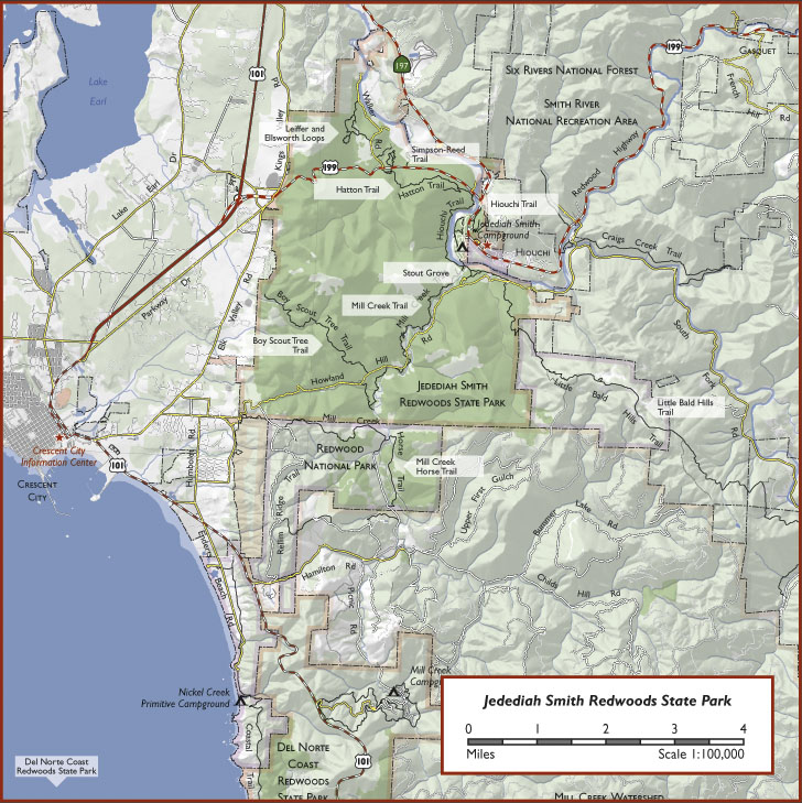 The Coastal Redwoods Ecosystem
