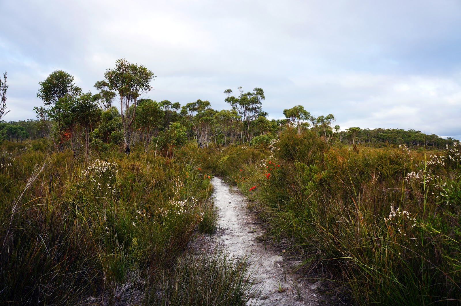 Bibbulmun Track (WA) - Mt Chance to Woolbales ~ The Long Way's Better