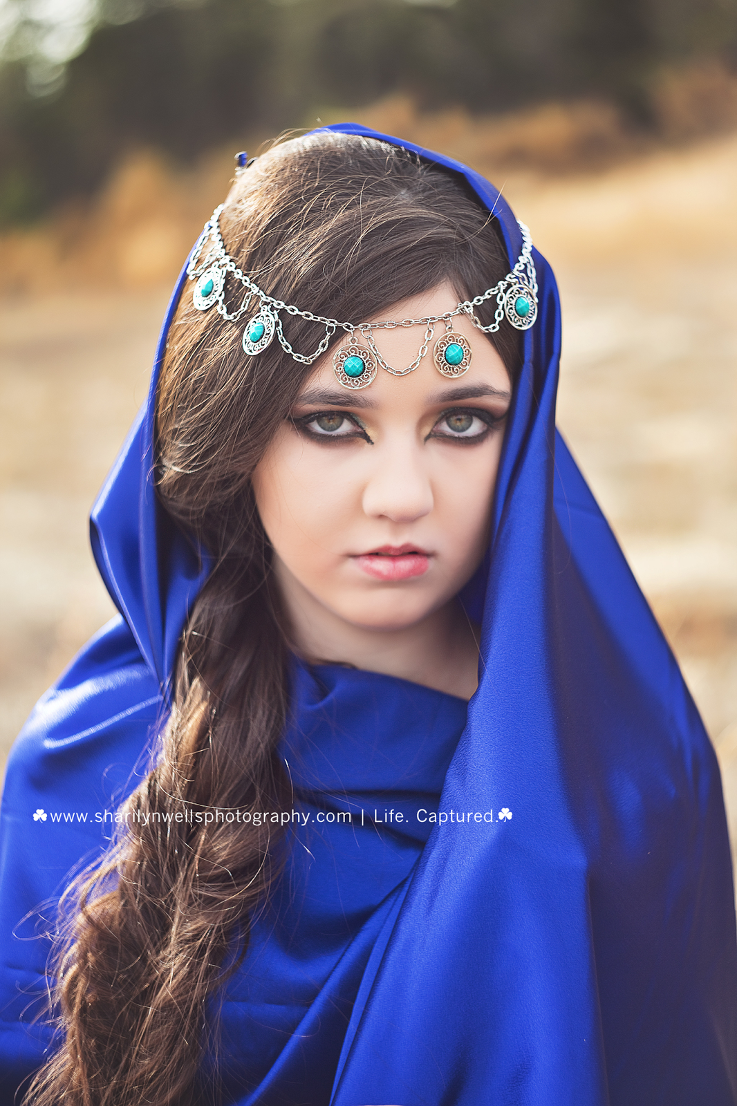 Sharilyn Wells Photography: Arabian Beauty | Creative | Sanford, N.C ...