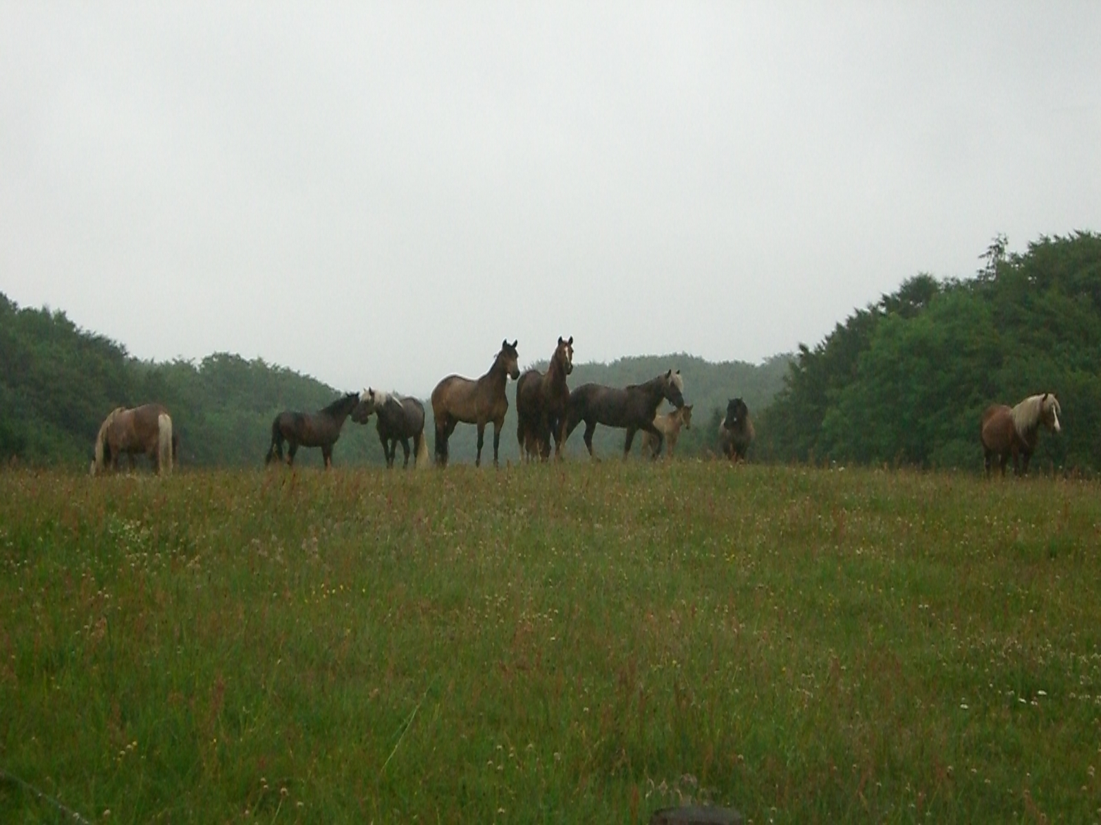 Große Freiheit 32: Nangijala