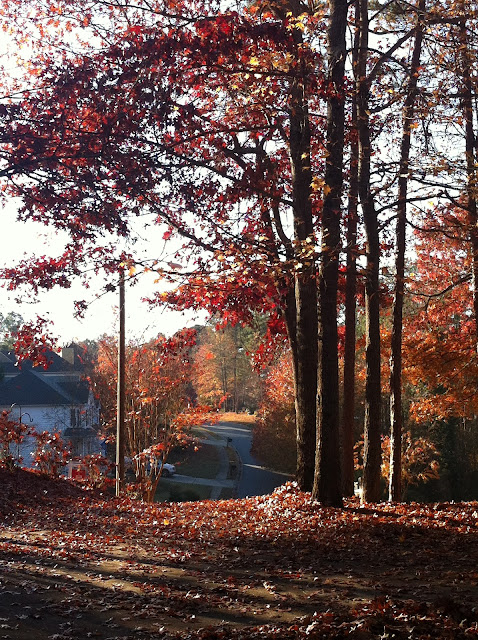 Hilary: EQotW: Thanksgiving in Georgia