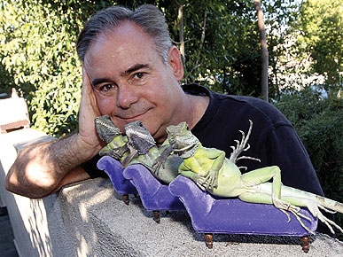 Best 3: Types of Lizard House Pets