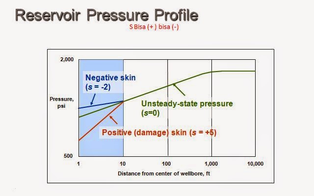 Migas Nusantara: Skin dan Pressure Drop pada sumur Migas