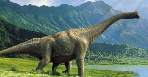 Happy Learning Seeds: Δεινόσαυροι!