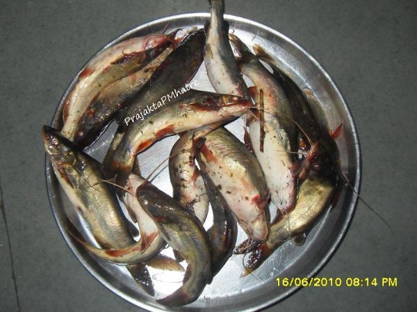 गावरान मेजवानी: चिवने/चिवणे