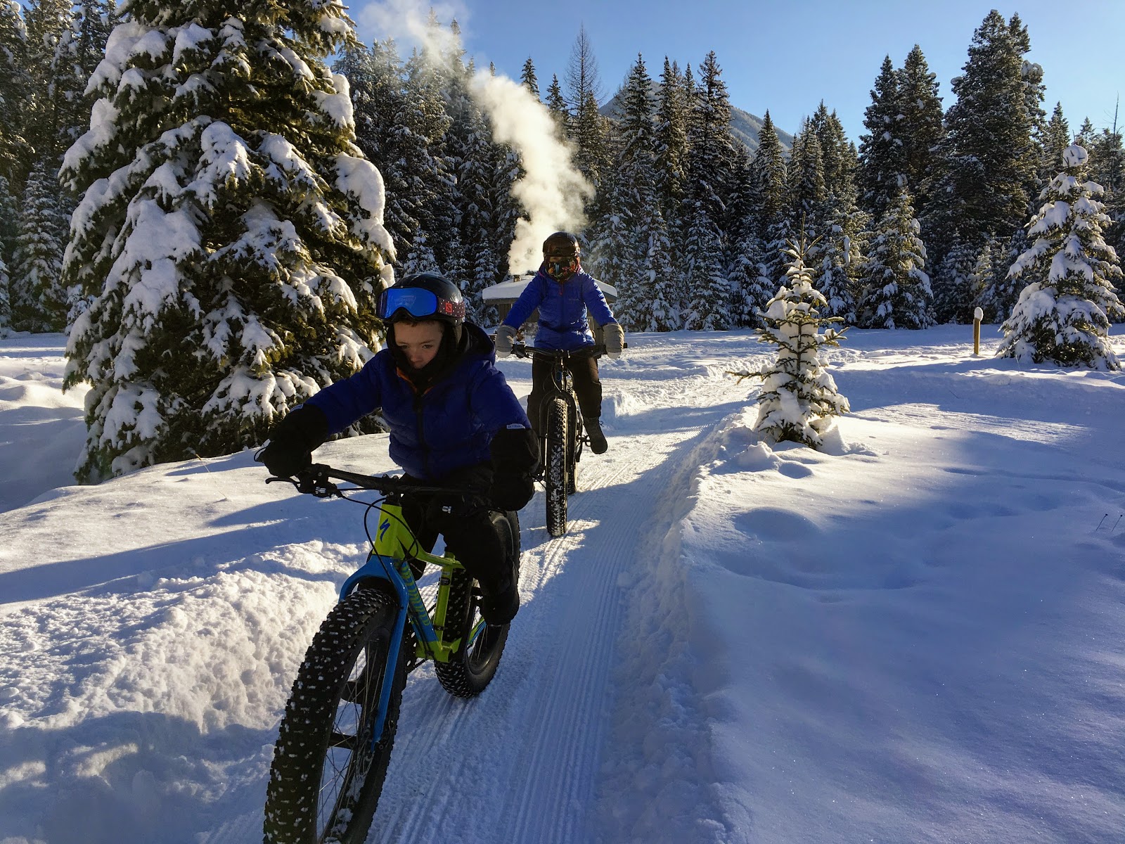 Family Adventures in the Canadian Rockies: Winter Guide to the Columbia ...