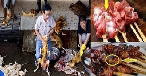 WASPADALAH !!! Sekarang Beredar Sate Kambing Yang Di Oplos Dengan ...