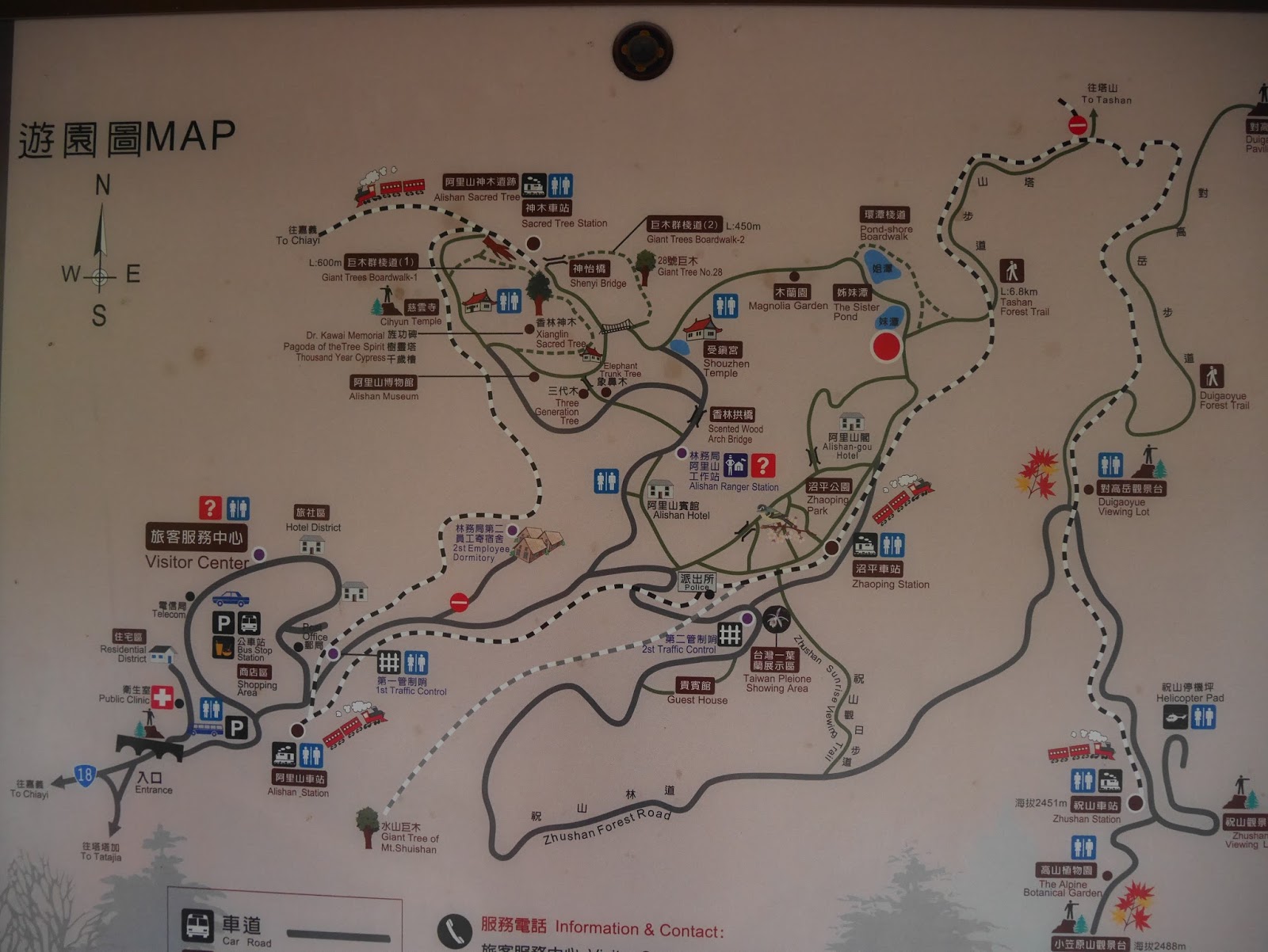 Nat The Travel Junkie: Taiwan 2016: Alishan 阿里山