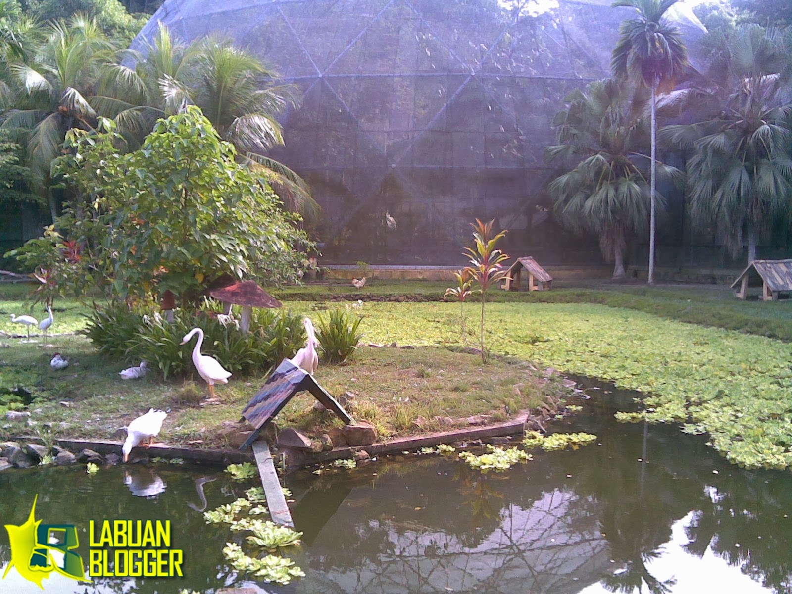 Taman Burung Labuan salah satu tempat menarik di WP.Labuan - Labuan Blogger