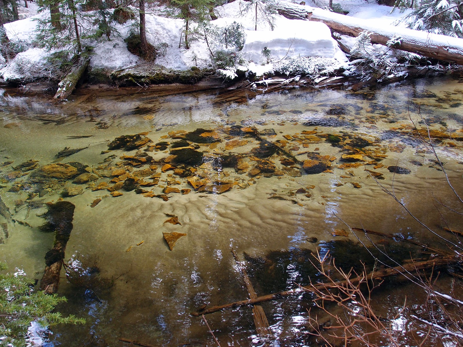 Seeking Ultra: Thunder Basin, North Cascades National Park