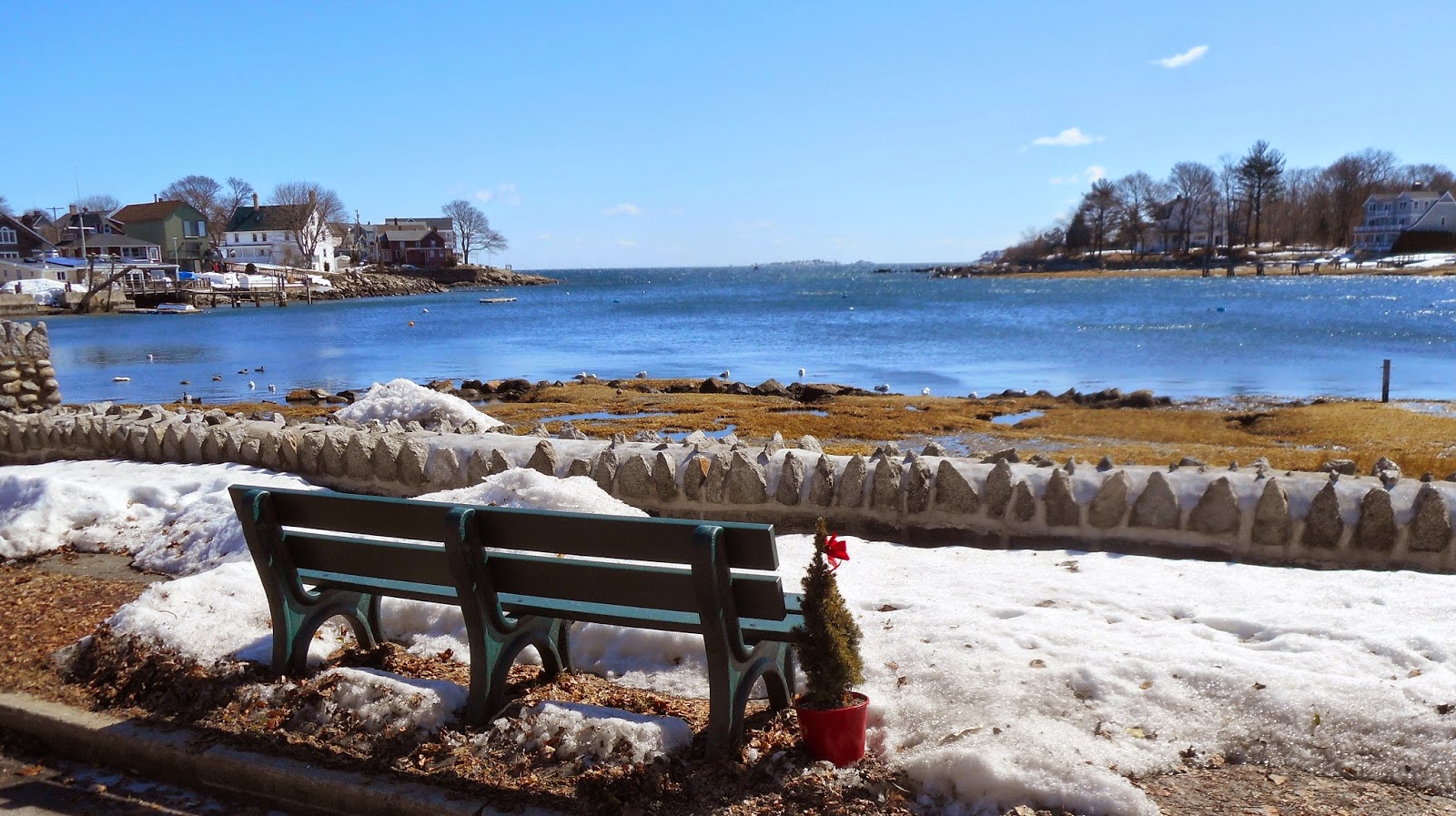 WickedBlogger20: Winter Island Park