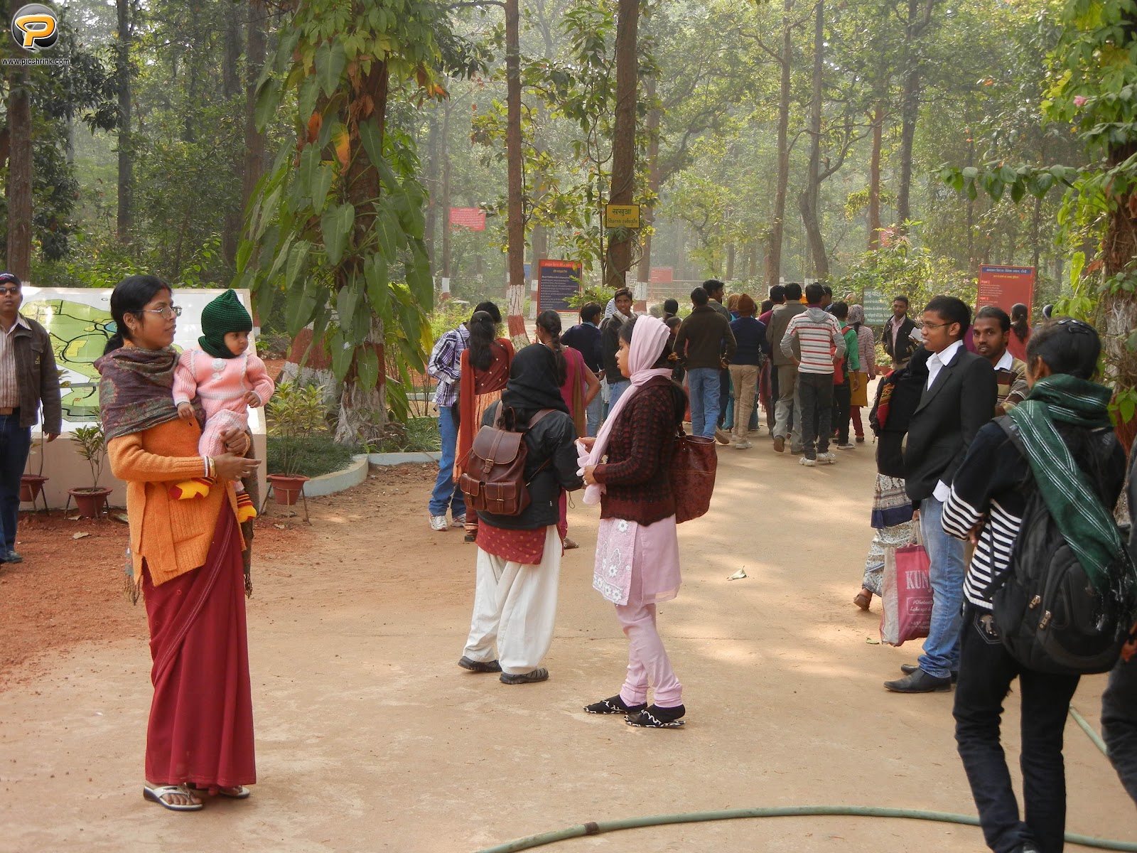 AMIMAANSI: Birsa Zoo Ormanjhi ,Ranchi