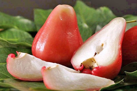 Flowers & Fruits! : Ripened Rose Apple!