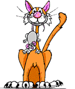 Animation Bundle: Animated Cats Jumping Playing and Running Around See ...