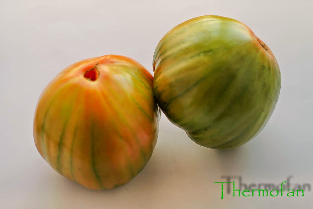 Mermelada de tomate verde valenciano — Thermofan