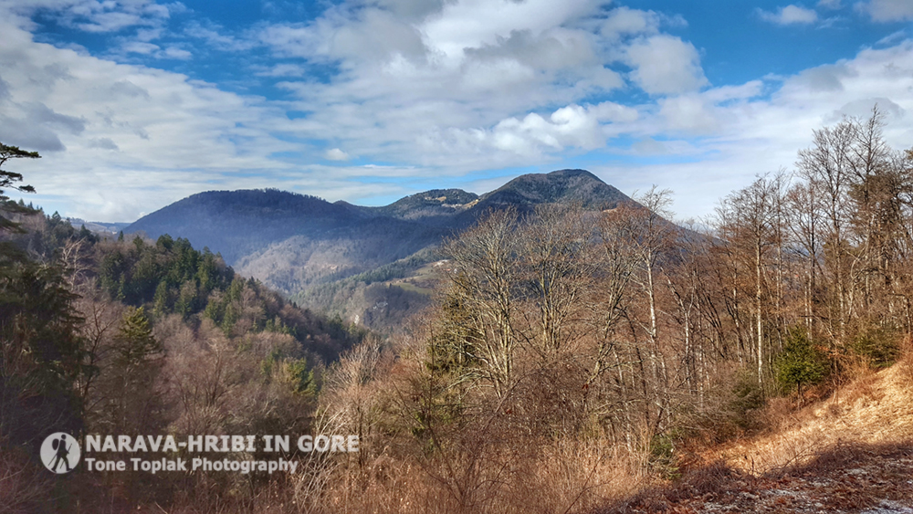 Narava hribi in gore: Vitanje-Stenica 1091m