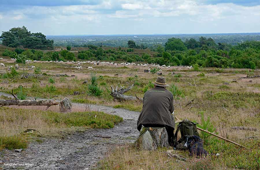 Wandelingen, een weblog met wandelroutes: Wandeling Lemelerberg en ...