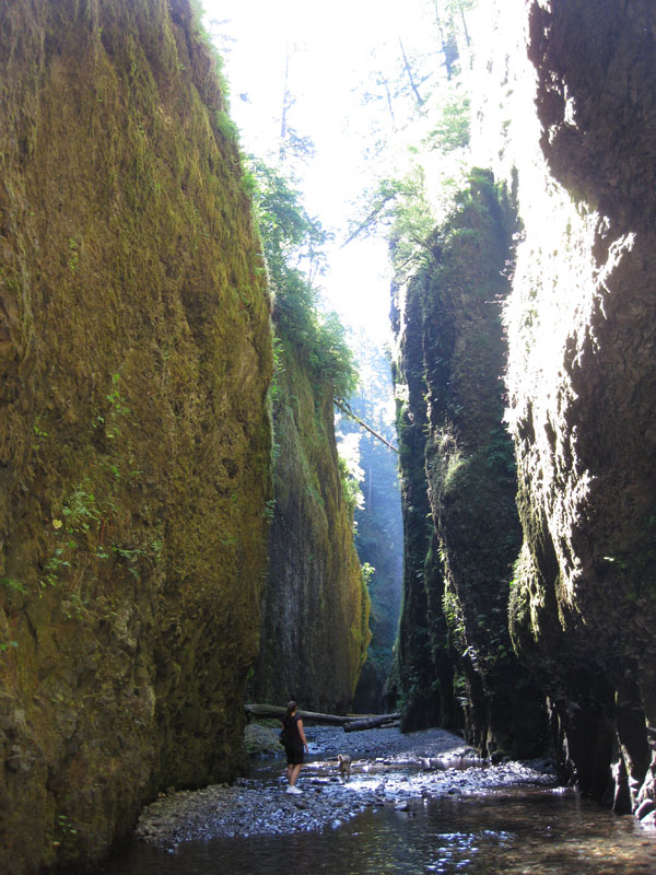 Jack Traveler: Summer Hike Series: Oneonta Gorge