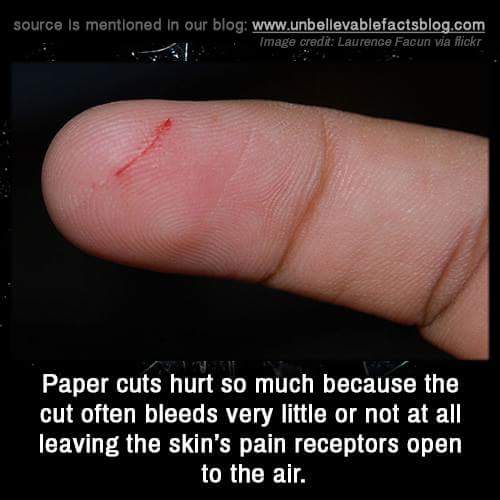 For Find Out Friday Week 45 Why Does A Paper Cut Hurt As Much As Getting Your Arm Amputated for-find-out-friday-week-45-why-does-a-paper-cut-hurt-as-much-as-getting-your-arm-amputated