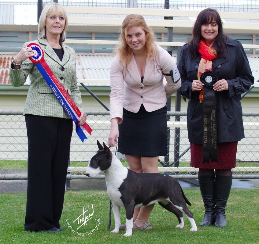 TraffordPhotos - Australian Dog Show Photos: THE SOUTHERN CLASSIC DOG ...