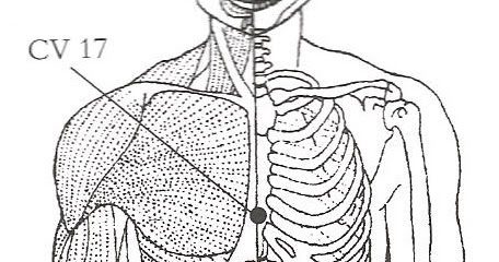 ALARM POINT OF THE PERICARDIUM CV 17 OR REN 17 ( CONCEPTION VESSECLE OR ...