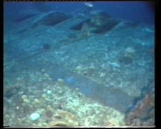 THE SINKING OF THE OCEANOS - 4th of August, 1991: The Oceanos at the ...