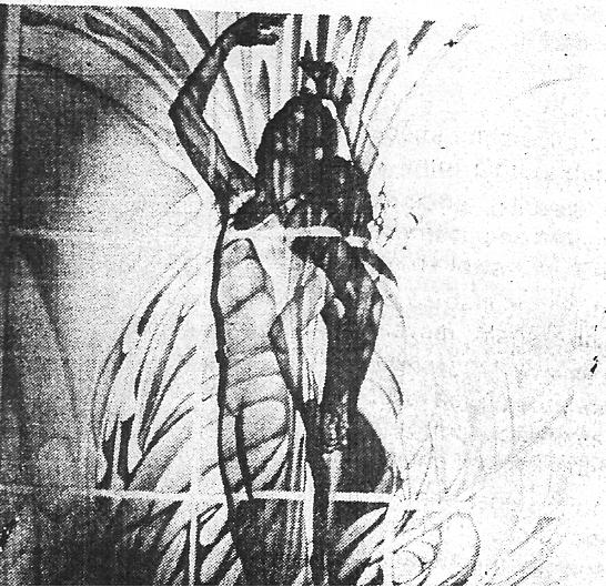 ARTES VISUAIS Reynivaldo Brito: A OBRA DE MARIA ADAIR É UM RIO QUE ...