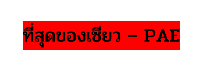 ที่สุดของเซียว - PAE