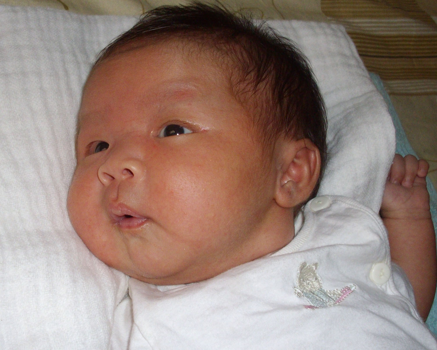 Ảnh trẻ con đáng yêu - cua cuon - cua kinh 2