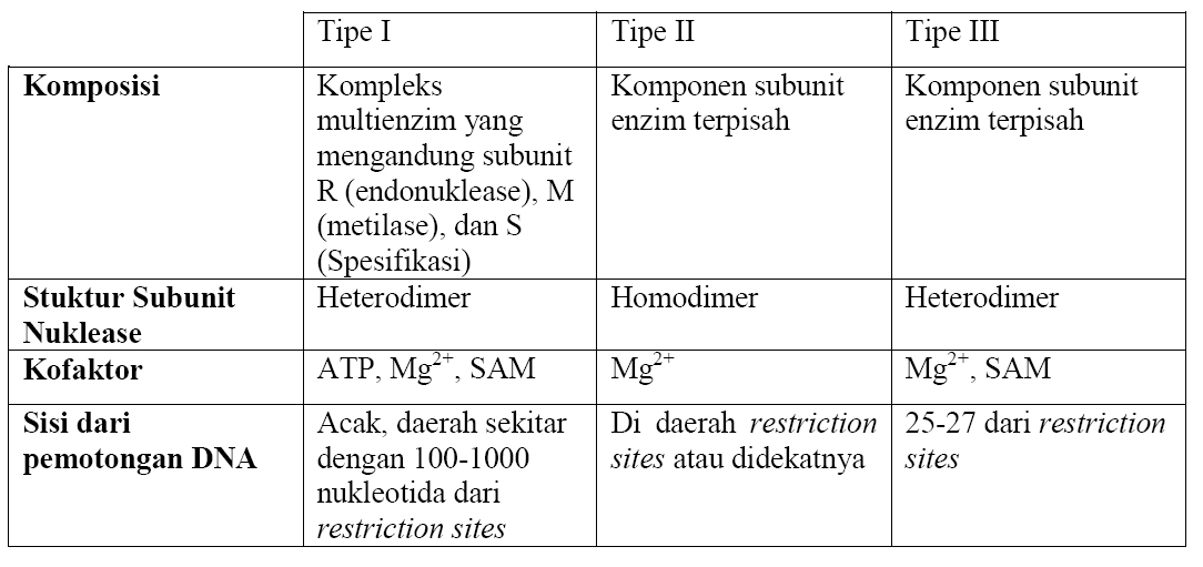 Pengertian, Jenis, dan Cara Kerja Enzim Restriksi - Generasi Biologi