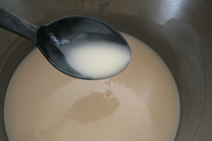 Tierra Verde Handmade Soaps: "Soapmaking Made Easy" - A Reveiw