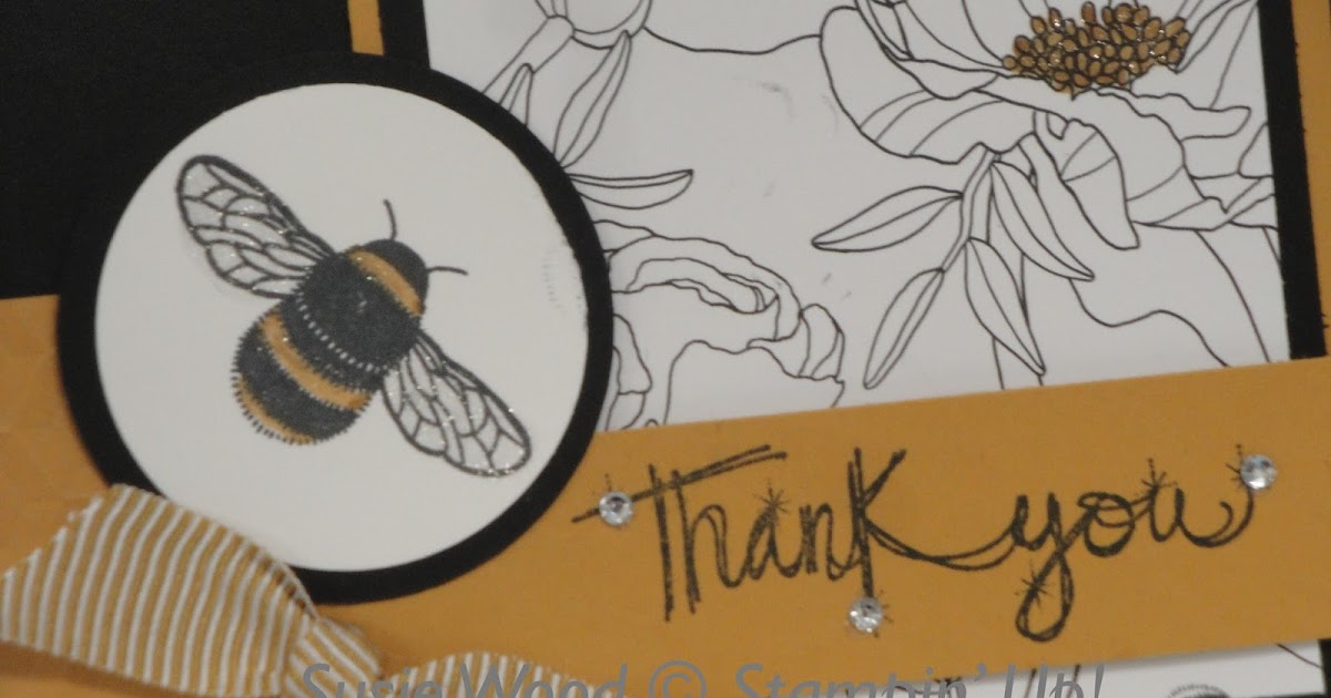 Stamp with Susie: Inside the Lines DSP!