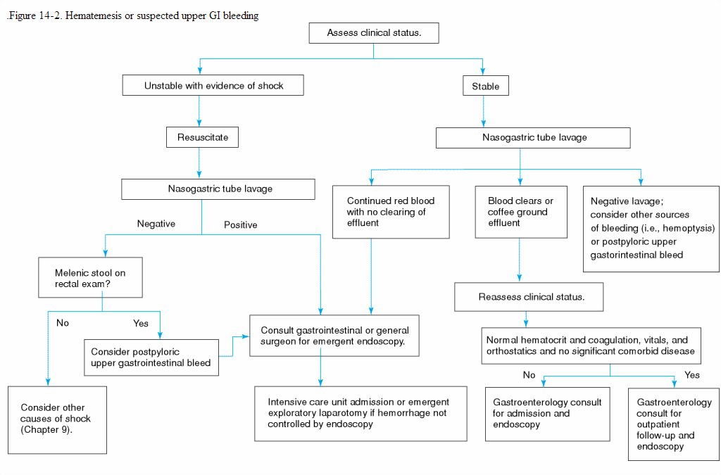 The Online Medicals: IMPORTANT Algorithms, MUST REMEMBER